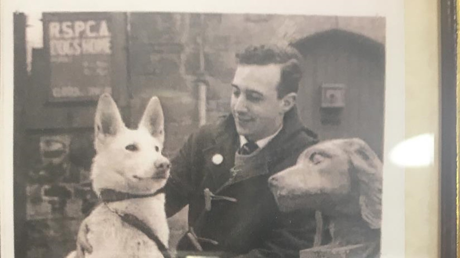 History - RSPCA Llys Nini Animal Centre